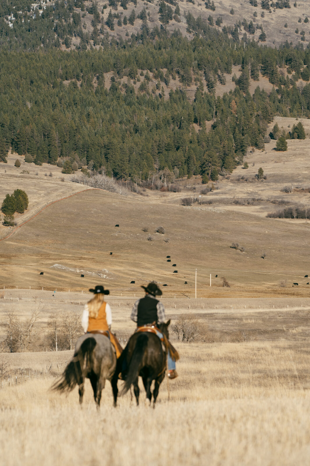 Montana Western Ranch Winter Engagement Session - presleygrayphoto.com
